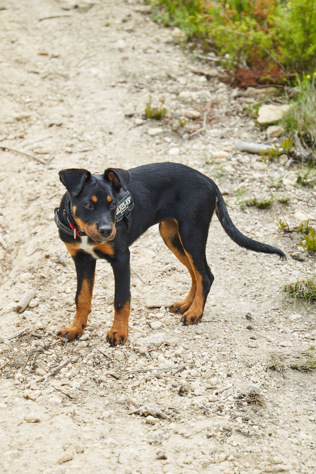 Yoga Retreats in Ibiza and Formentera | Dara Yoga Flows