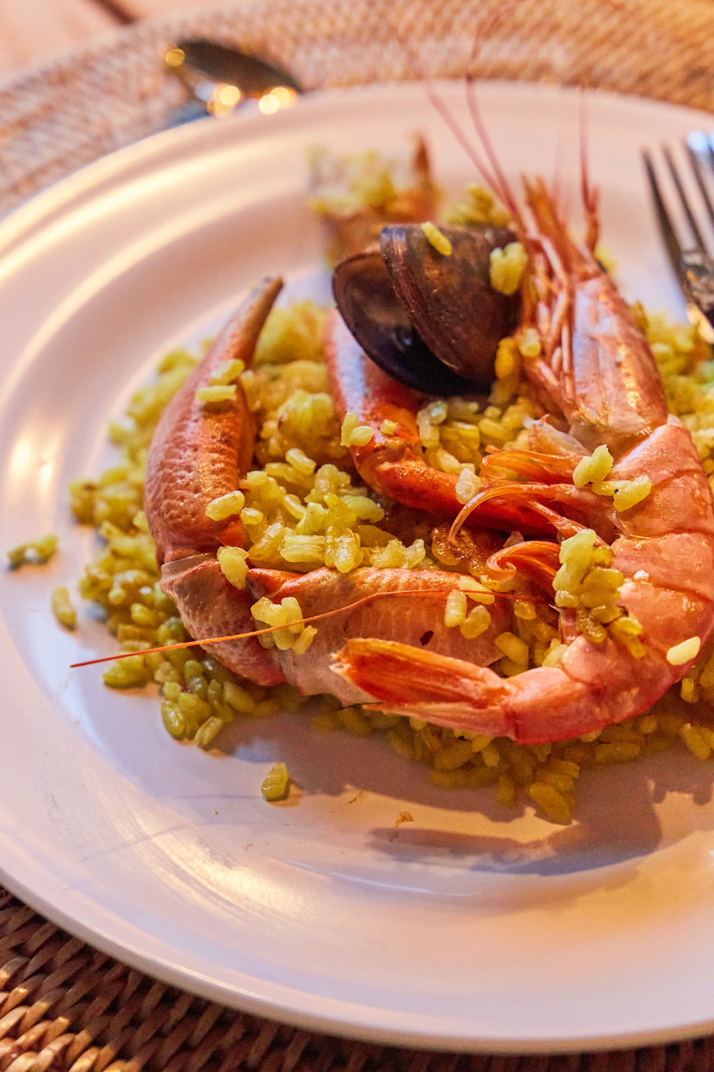 Yoga Retreats in Ibiza and Formentera | Dara Yoga Flows